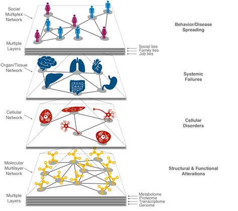 Diagram Illustrating A Multi Scale Multilayer Graph Applied To Model