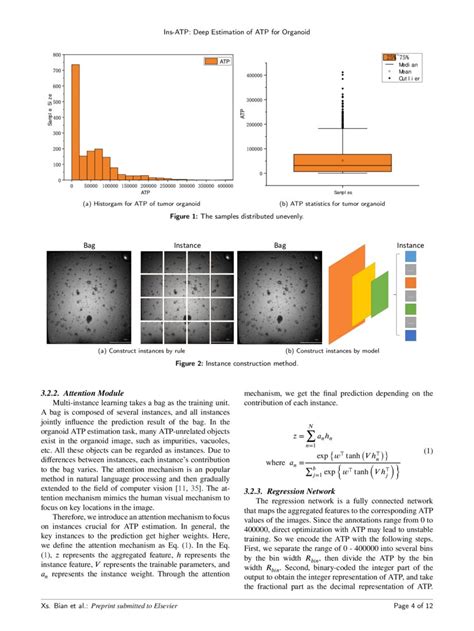 Ins ATP Deep Estimation Of ATP For Organoid Based On High Throughput Microscopic Images DeepAI
