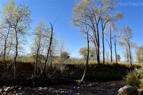 Bobolink Trail In Boulder Colorado Rick Trilsch Bobolink Trail In Boulder Colorado Rick Trilsch