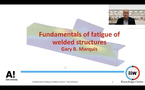 Fundamentals Of Fatigue Of Welded Structures Iiw
