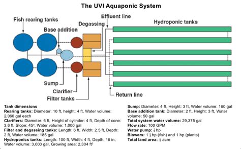 Basic Layout Of The Aquaponics System Download Scientific Diagram