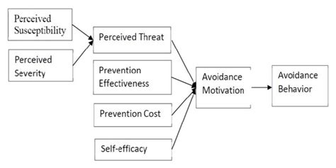 3 The Study9s Conception Framework Note From Download Scientific