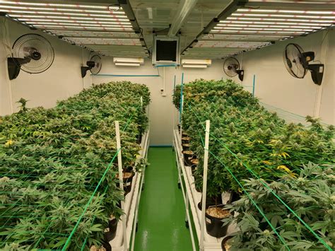 grow tech professional grow equipment supplies