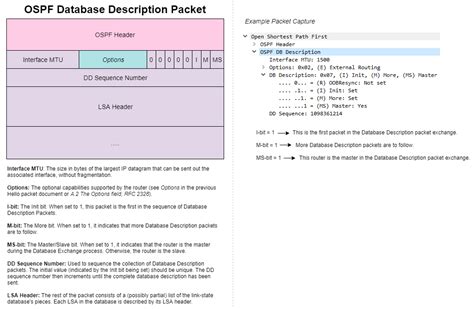 Christmas Calendar Ospf Area Design And Ospf Packet Types
