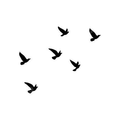 multiple flying birds vector illustration flying birds bird illustration bird png and vector