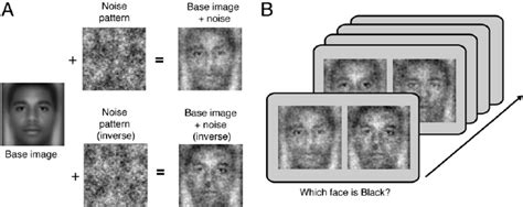 Study Task A Patterns Of Sinusoidal Noise And Their Inverse Were Download Scientific
