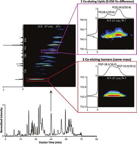 Lc Ims Ms Data For Lipids In Mouse Uterine Decidua Tissue A 1 S Ims Ms