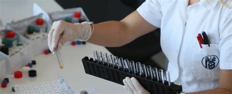 Eritrociti U Urinu Blic Zdravlje