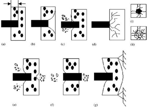 Explains The Local Impact Phenomena Caused By Hard Projectile A Download Scientific Diagram