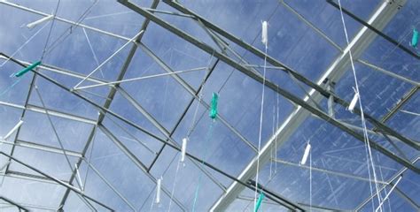 Diffused Light Grower2Grower