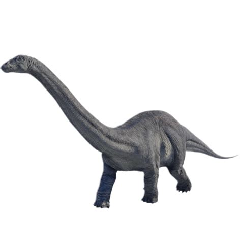 Apatosaurus 23 Meter Høj Og 22 Tons Tung Langhals