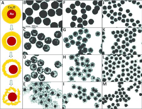 Formation Of Rattle Like Aucu 2 O Yolkshell Nanoparticles A