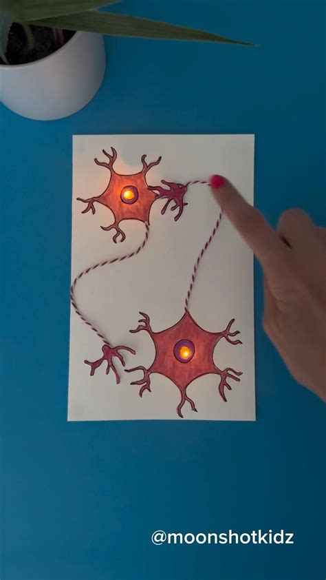 Cells Project Artofit