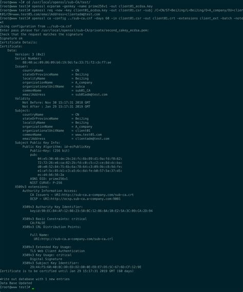 Ssltls深度解析 在nginx上openssl配置ca证书链及多域名证书（好文章，配置很全面！！）nginx证书完整证书链 Csdn博客