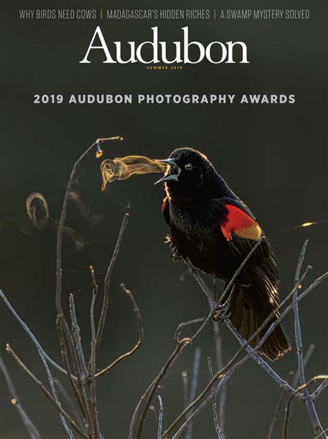 Summer 2019 Audubon