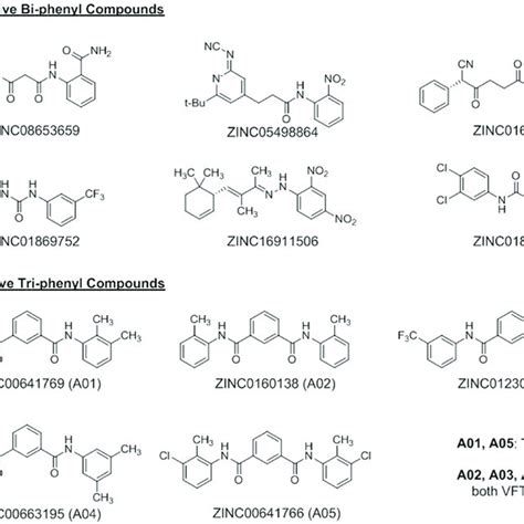 The Molecular Structures Of The Compounds With High Binding Score For