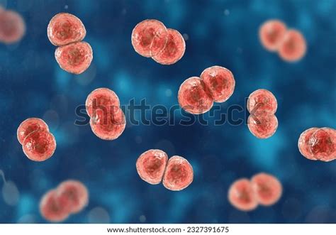 Streptococcus Pneumoniae