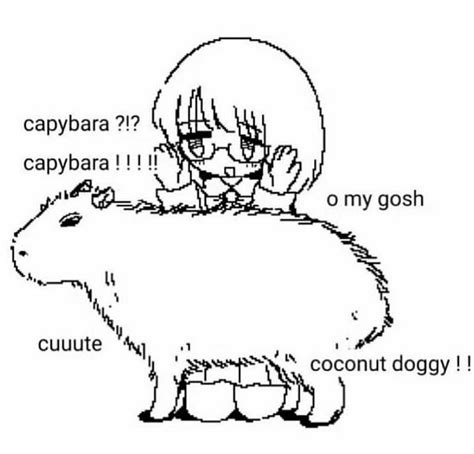Capybara Anatomy Diagram