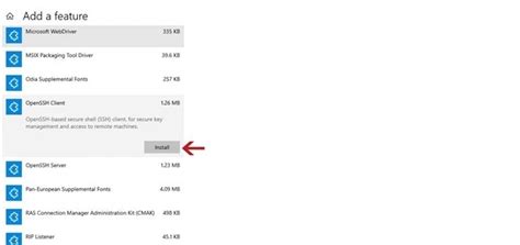 Install OpenSSH Server And Client On Windows