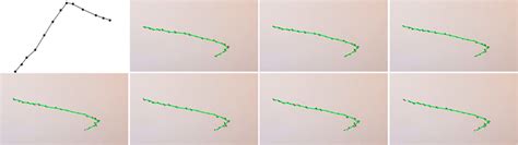 Bird Flock Tracking The Boundaries In Temporally Adjacent Frames Of A