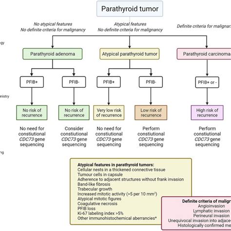 Overview Of 2022 Who Classification Of Parathyroid Tumors Request Pdf
