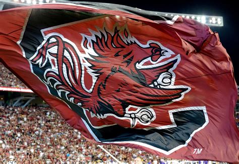 Let Our Colors Fly Lgf South Carolina Gamecocks Color Fly Carolina