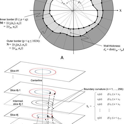 Variables Functions And Conditions Utilized In The Shape Based Download Scientific Diagram