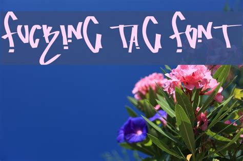 Fucking Tag Font Font FFonts Net