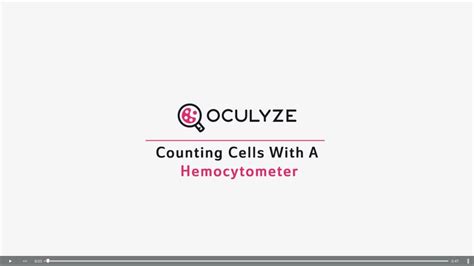 Formula For Cell Counting With Hemocytometer At Donald Johnston Blog