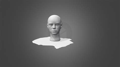 Marker Scan Head Mesh By Pop Ply Download Free 3d Model By Revopoint 3d Revopoint3d