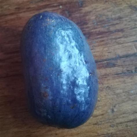 Kitiki Roboflow Universe