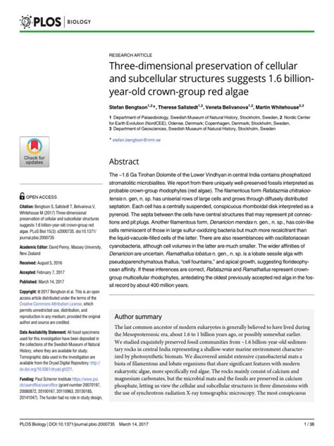 Three Dimensional Preservation Of Cellular And Subcellular Structures