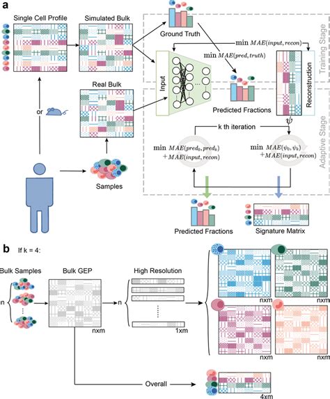 Tape Workflow And Clarification Of Adaptive Stage A Tape Takes Download Scientific Diagram