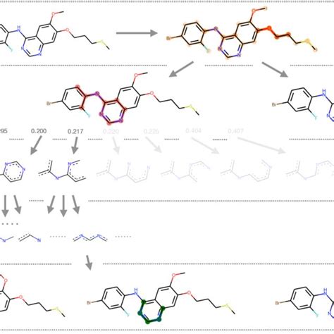effects of different modules on retrosynthesis performance in reaction