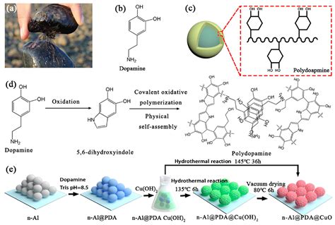 Crystals Free Full Text Recent Advances In Polydopamine For Surface