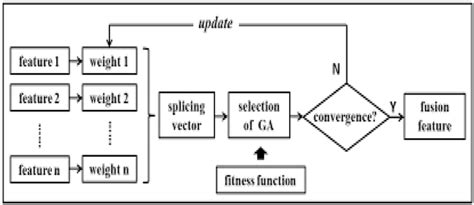 This Flow Chart Of The Multi Feature Fusion Model Based On Ga Download Scientific Diagram