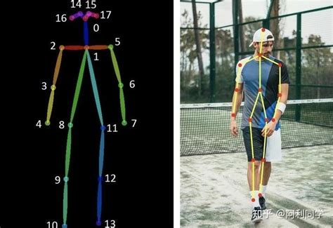 姿态识别目标检测和跟踪的综合应用 知乎