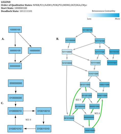 Formal Modeling And Analysis Of The Hexosamine Biosynthetic Pathway
