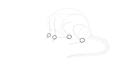 How To Draw A Mouse Envato Tuts