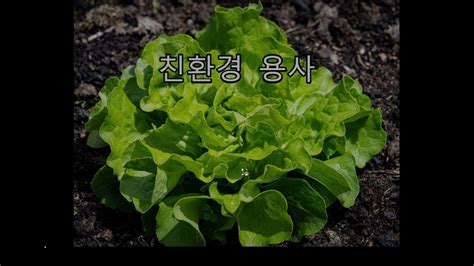 친환경용사 농약 따윈 못 쓰는 진짜 친환경 용사 Youtube