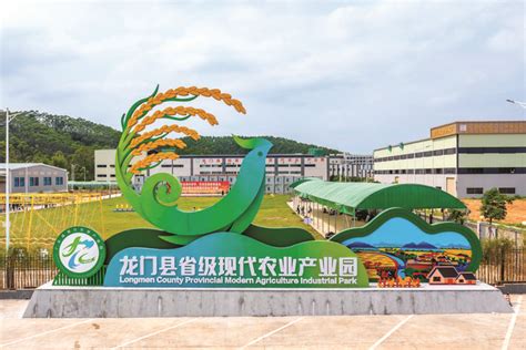 深耕节粮减损 无形田” 筑牢粮食安全 压舱石”