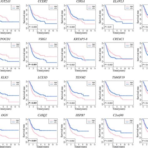 Internal Validation And External Validation A The Confusion Matrix Download Scientific