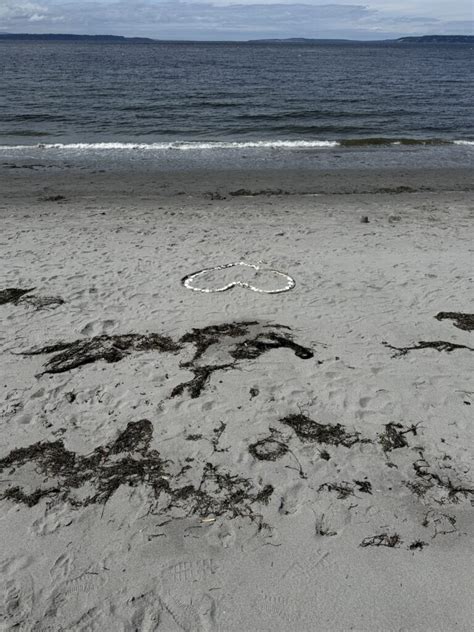 Tia Heart On Beach My Edmonds News