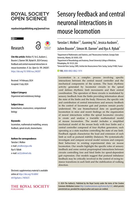 Pdf Sensory Feedback And Central Neuronal Interactions In Mouse