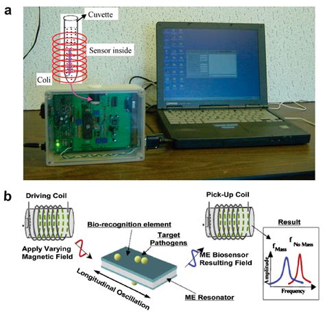 Wireless Biological Electronic Sensors