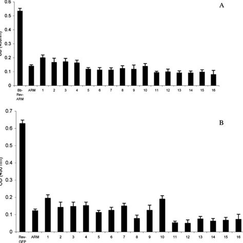 Structure Of The Bc Rev Arm Library A A Scheme Describing The Steps