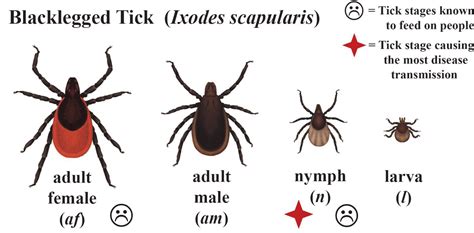 Bugs Human Health Environmental Epidemiology