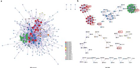 Ppi Network And Mcode Components Identified To Be Associated With The Download Scientific