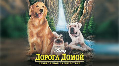 Фильмы про животных смотреть плейлист все 32 видео подборки от