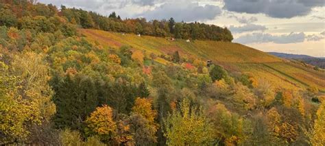 Mitteilungsblatt 39 Woche Gemeinde Aspach